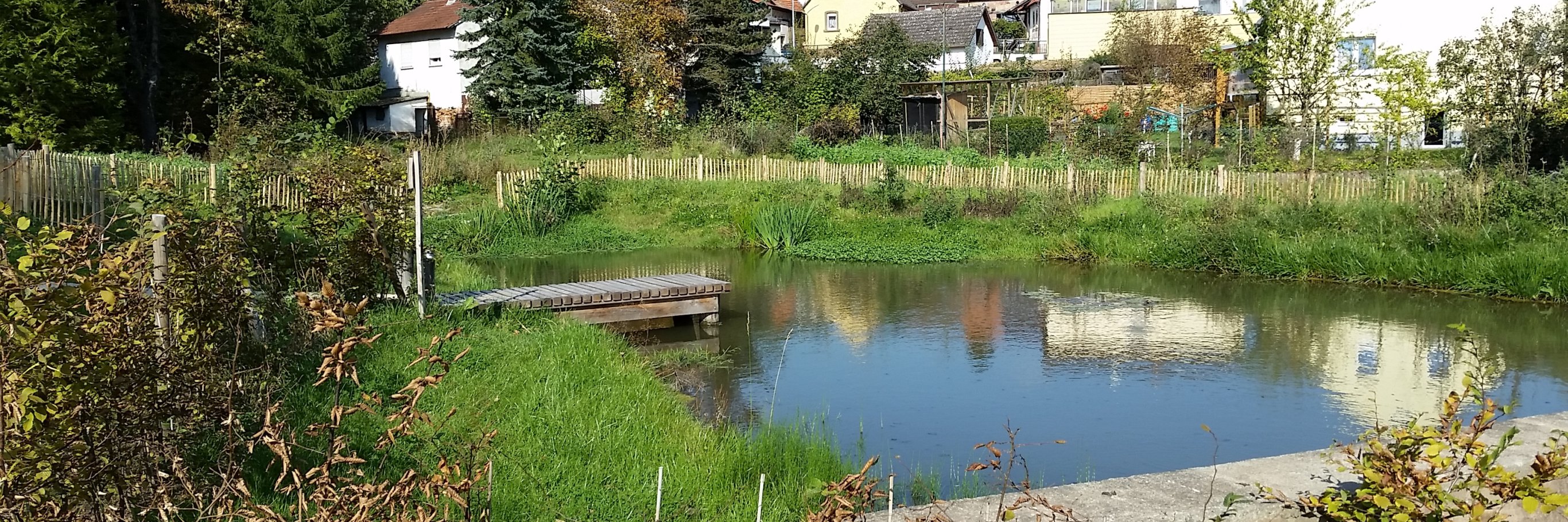 Mehlbach | Otterbach-Otterberg